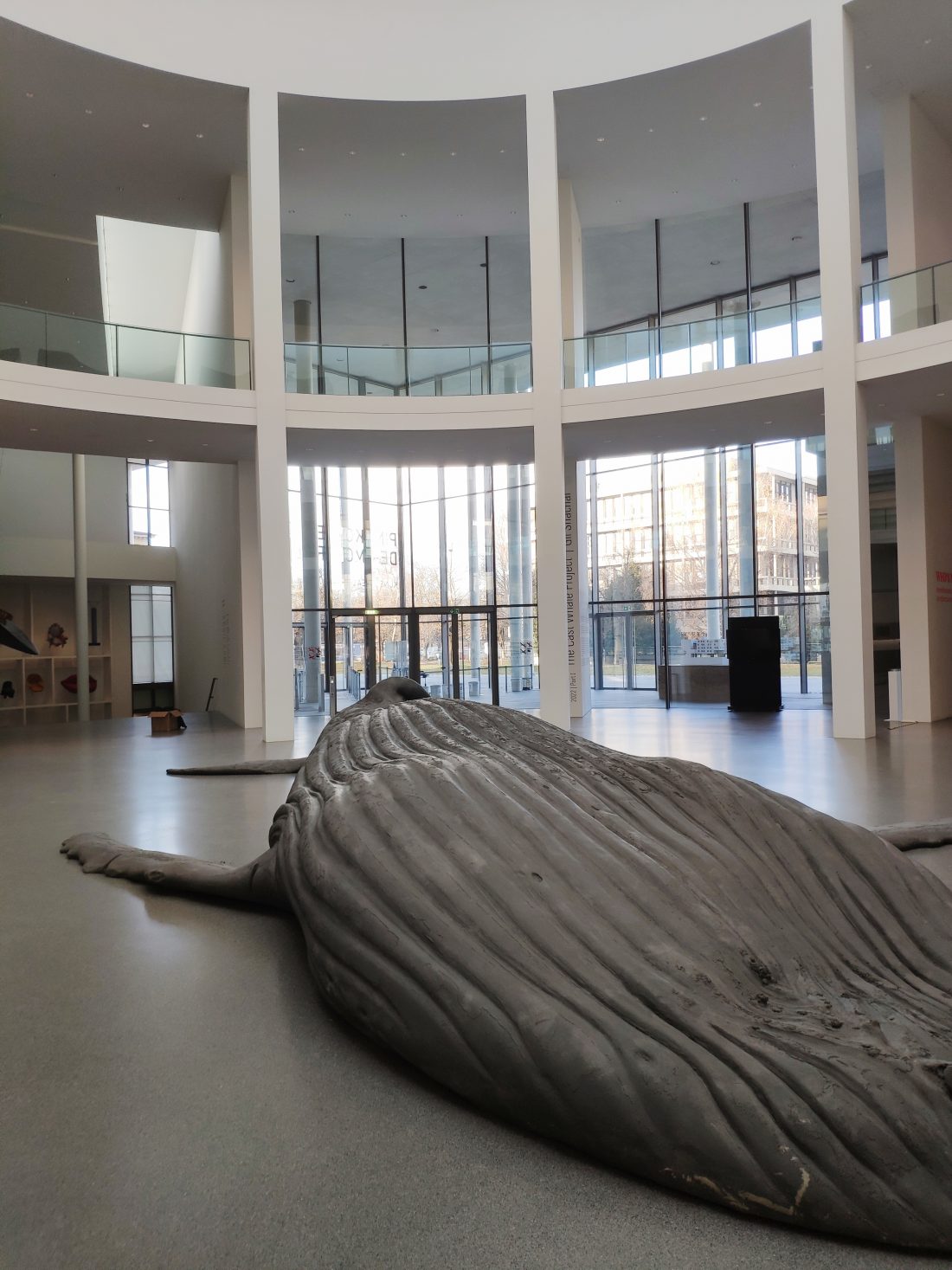 THE CAST WHALE PROJECT | GIL SHACHAR - Pinakothek der Moderne