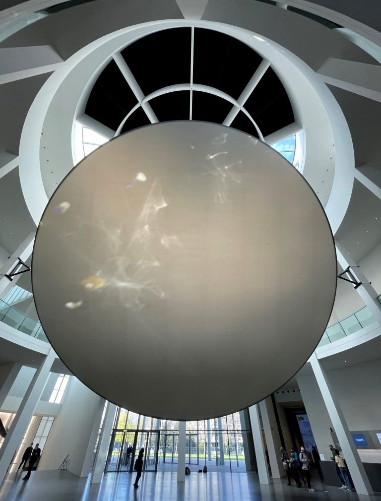 Exhibitions - Pinakothek der Moderne