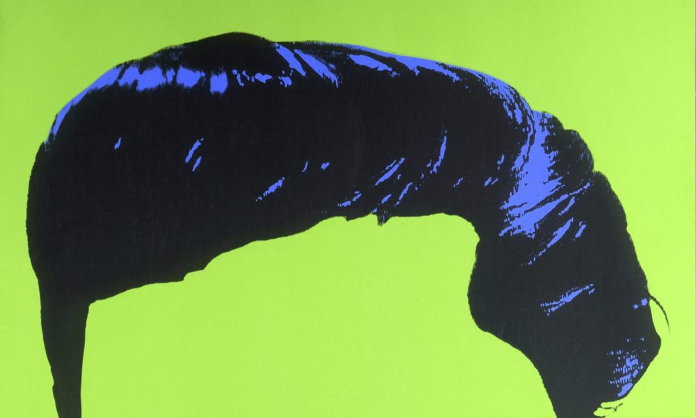 PAULA SCHER - Pinakothek der Moderne