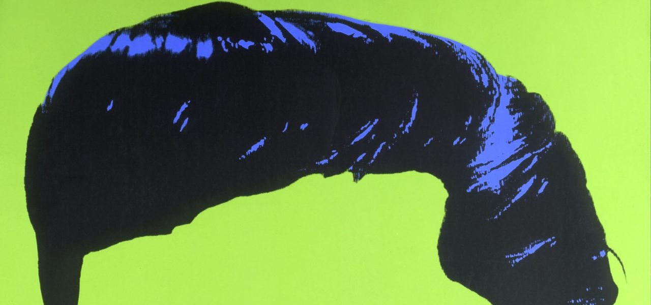 PAULA SCHER - Pinakothek der Moderne